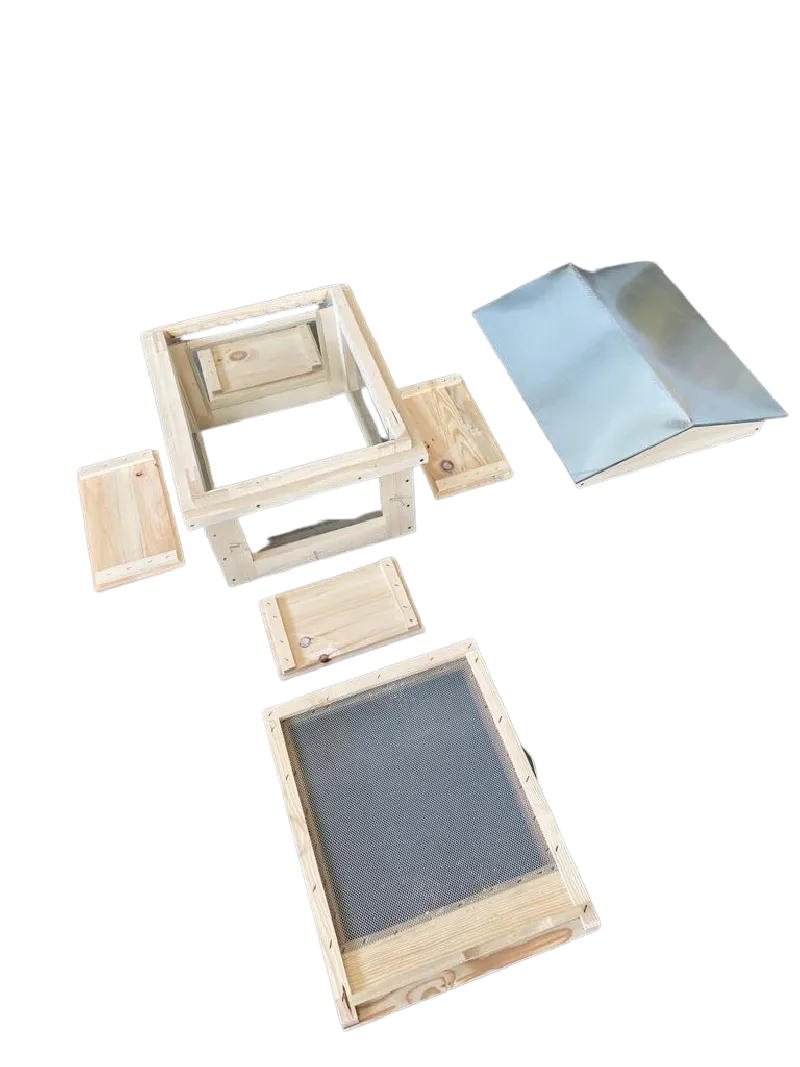 Apistore ® - Observation dadant cubic hive 10 honeycomb