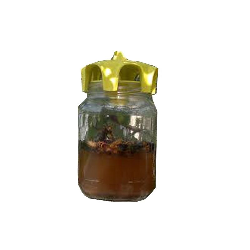 Apistore ® - Yellow trap jar yellow insect trap cap for mounting on 1 ...